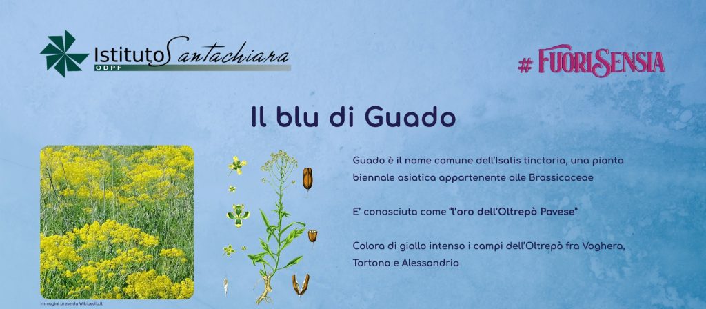 Il Blu di Gualdo - Santachiara ODPF